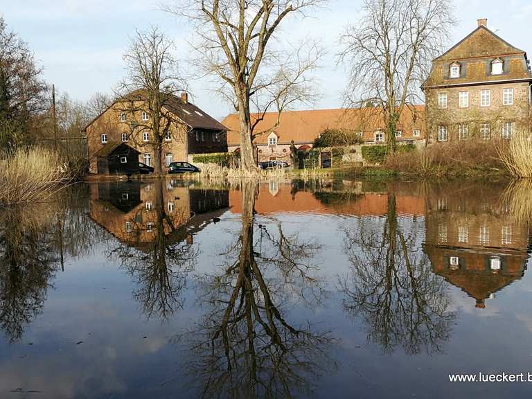 Hofgut Neuhof Routes for Walking and Hiking | Komoot