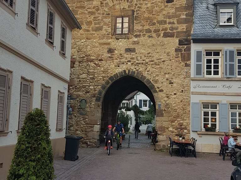 Altstadt Freinsheim : Radtouren und Radwege | komoot