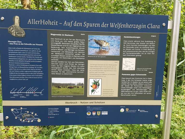 Aussichtsturm Ilkerbruch Routes for Walking and Hiking | Komoot