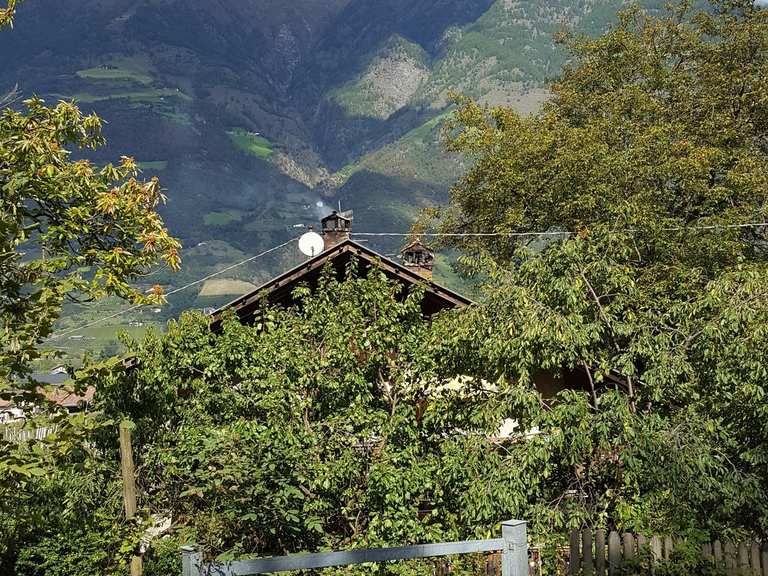 Schloss Dornsberg Routes for Walking and Hiking | Komoot