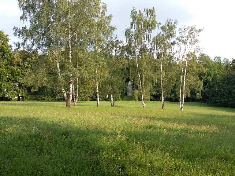 Stadtpark Plauen Routes for Walking and Hiking | Komoot