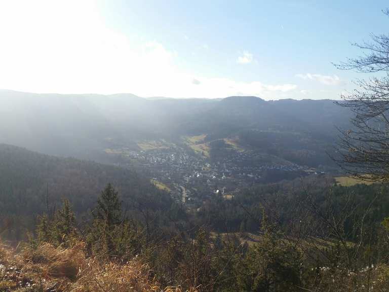 Blick Richtung Laufen an der Eyach: Wanderungen und Rundwege | komoot