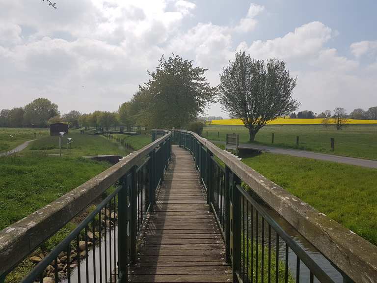 Bifurkation : Radtouren und Radwege | komoot