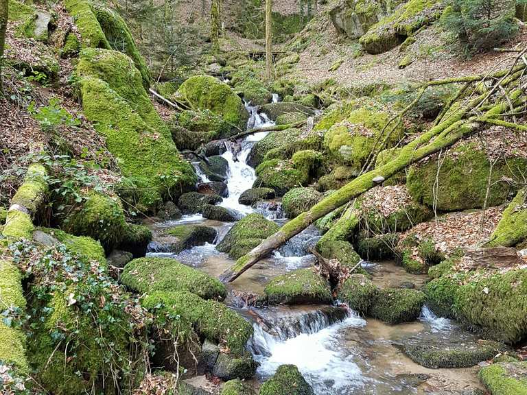 Höllschlucht Endenburg | Wanderung | Komoot