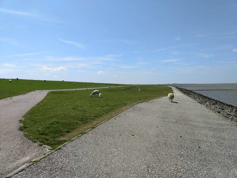 Great views of the sea and the Halligen islands - Cycle Routes and Map ...