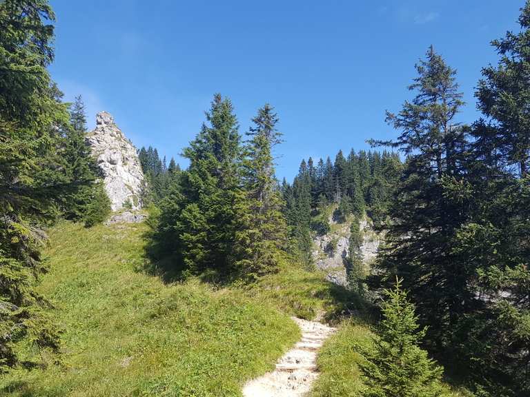 Laberbergbahn Routes for Walking and Hiking | Komoot