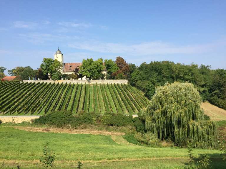 Weingut und Weinberge Schloss Hallburg: Wanderungen und Rundwege | komoot