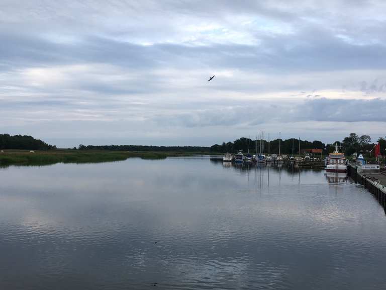 Prerow Hafen Routes for Walking and Hiking | Komoot