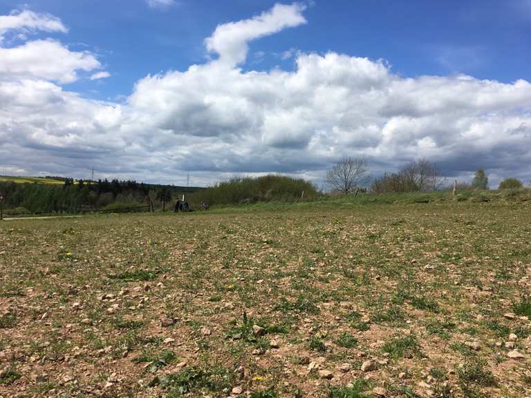 Fossilienacker – Naturschutzzentrum Nettersheim Runde von K 59 ...