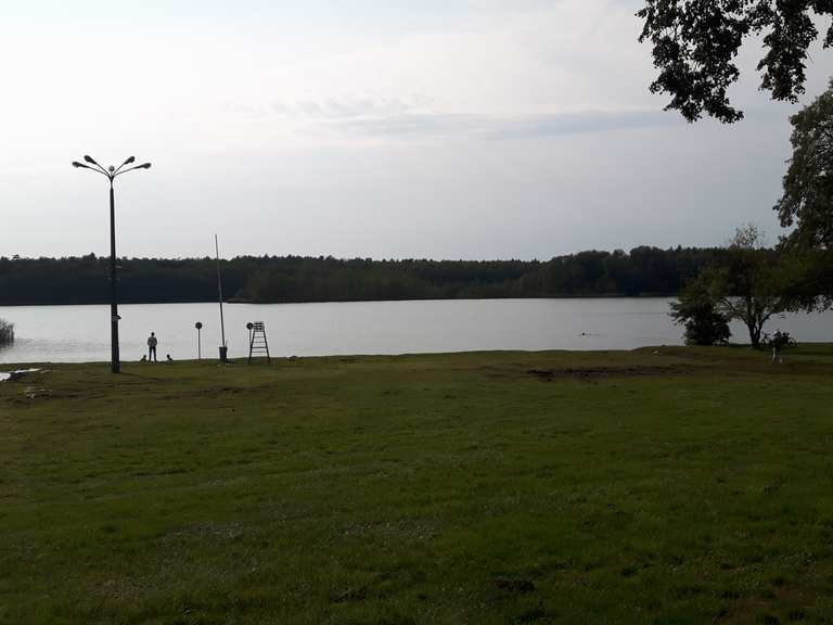 Beach at Strzeszynek Lake - Cycle Routes and Map | Komoot