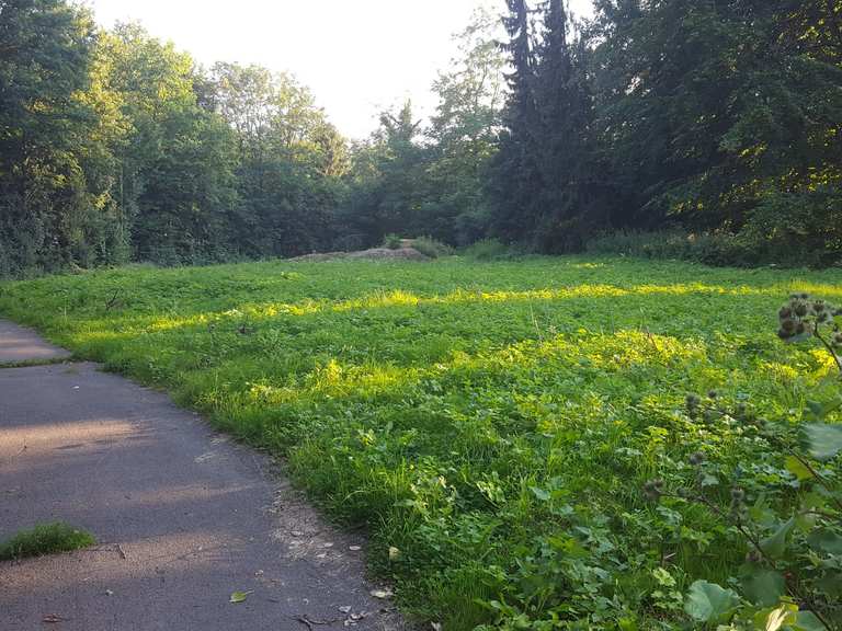 Schuttberg: Wanderungen und Rundwege | komoot