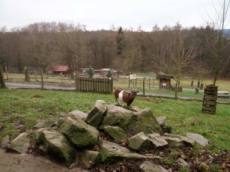 Wildpark Haibach: Wanderungen und Rundwege | komoot