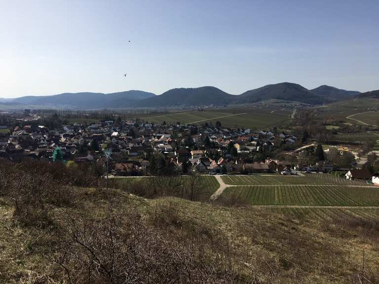 Kleine Kalmit mit Kapelle: Wanderungen und Rundwege | komoot