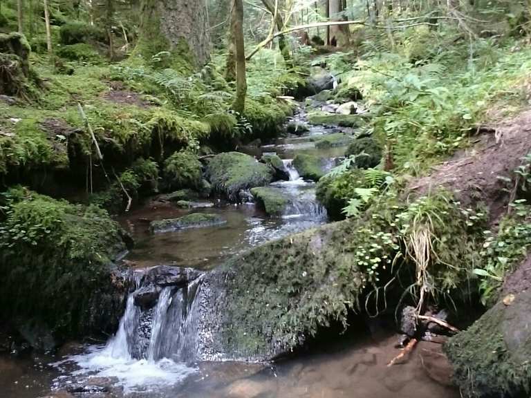 Im Rötelbachtal - Hirsau, Calw | Hiking Tips & Photos | Komoot