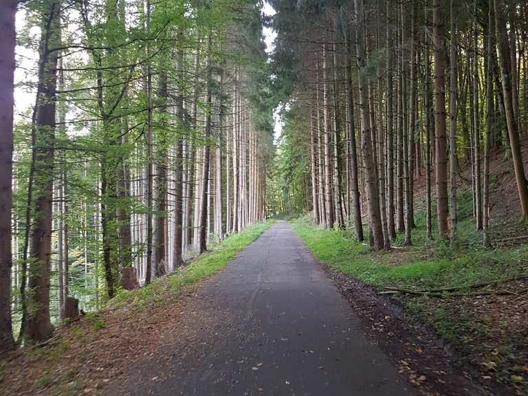 Siebenmühlental: Radtouren und Radwege | komoot