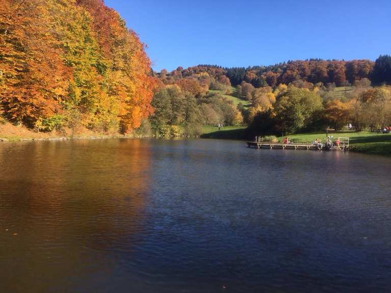 Guckaisee: Wanderungen und Rundwege | komoot