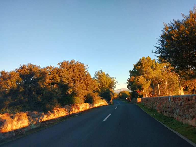 Santa Maria nach Algaida – Cami de Muro Runde von Son Ferrer | Rennrad ...