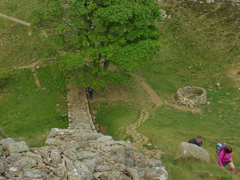 Sycamore Gap (Robin Hood Tree) Routes for Walking and Hiking | Komoot