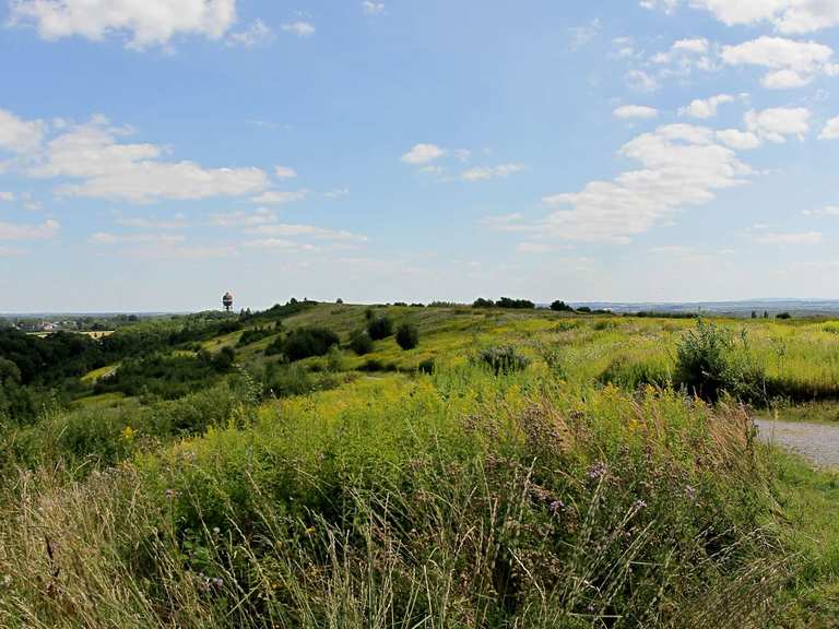 Halde (ehemalige Deponie) Grevel (Dortmund): Wanderungen und Rundwege ...