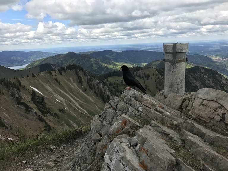 Brecherspitz: Wanderungen und Rundwege | komoot