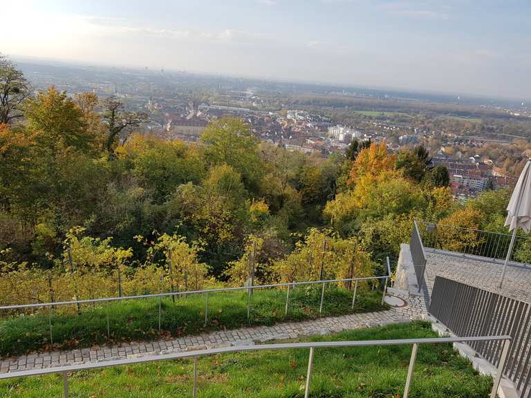 Turmberg Durlach: Mountainbike-Touren und -Trails | komoot