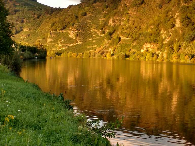 Moselbrücke Piesport - Cycle Routes and Map | Komoot