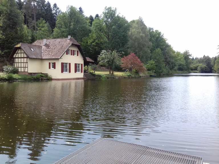 Sägmühlweiher Dorfweiher Wanderungen Und Rundwege Komoot