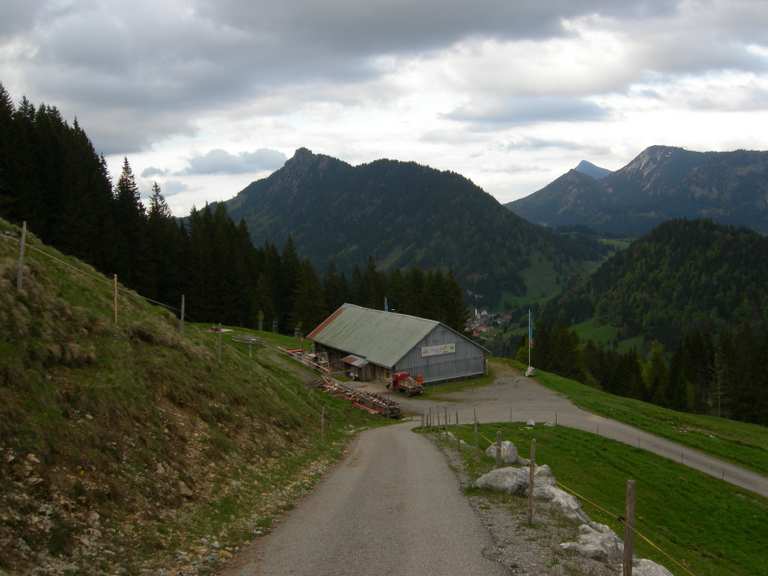 Buchel Alpe Routes for Walking and Hiking | Komoot