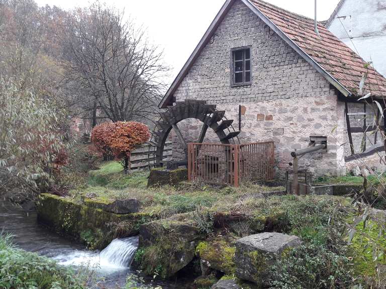 Aubachsee – Fischerhütte Runde von Wiesthal | Wanderung | Komoot