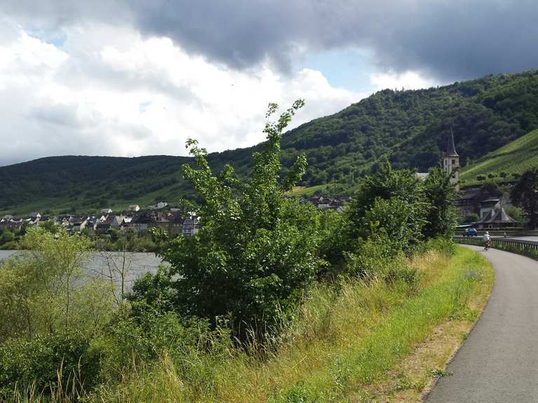 Bremmer Calmont - steilstes Weinanbaugebiet Europas : Rutas de ...