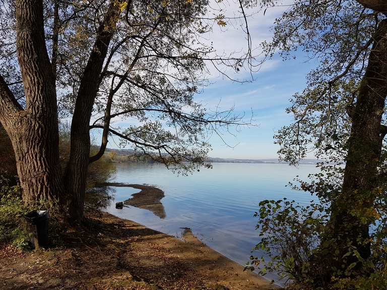 Spaziergang Sempachersee – Sempachersee Itinerario ad anello da Sempach ...