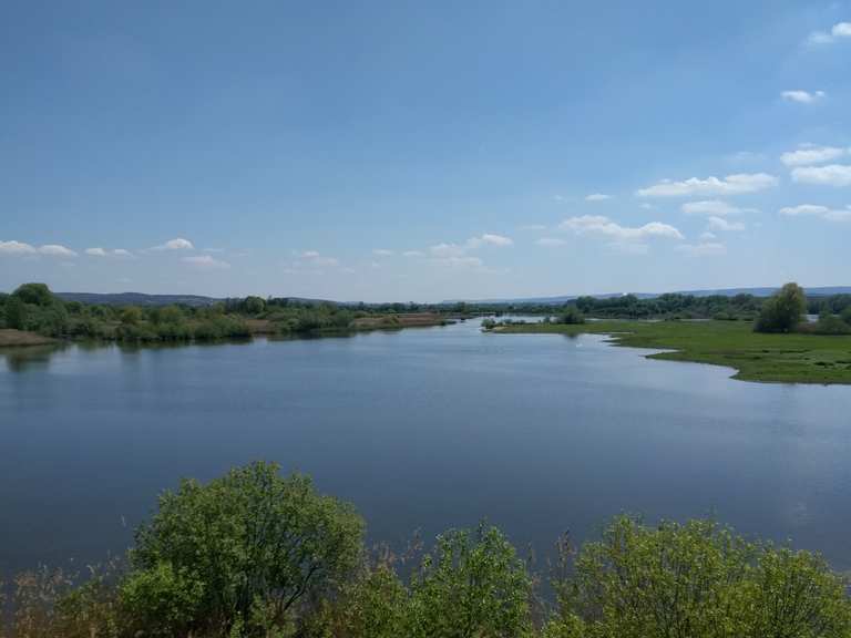 Vogelinsel im Altmühlsee Routes for Walking and Hiking | Komoot