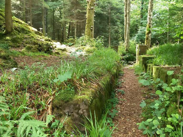 Eyach Wasserwegle: Wanderungen und Rundwege | komoot