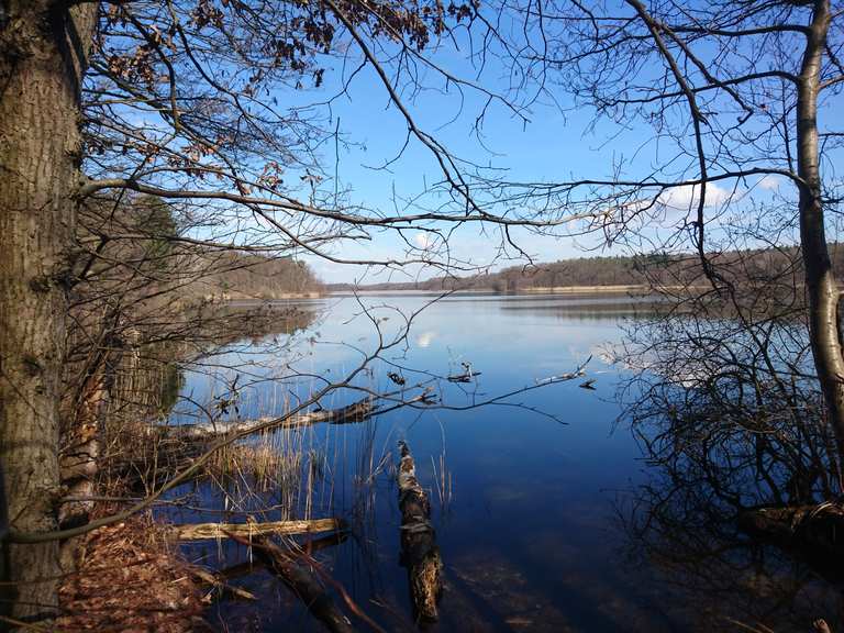 Sacrower See (Südliches Ende) Routes for Walking and Hiking | Komoot