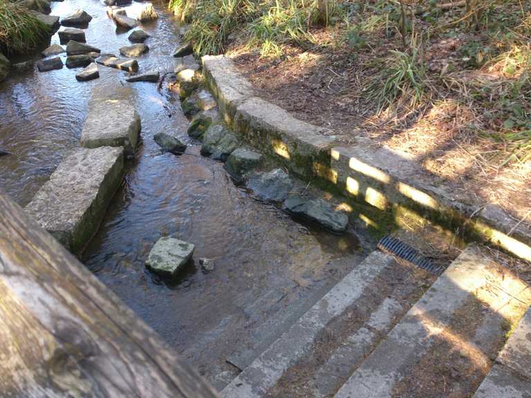 Stadtwald Buchloe – Wassertretbecken Runde von Buchloe | Wanderung | Komoot