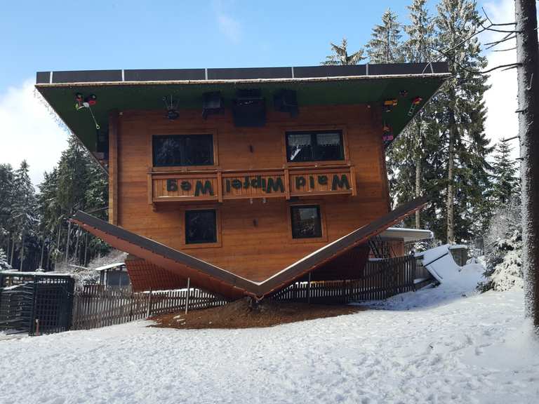 Haus am Kopf Waldwipfelweg: Wanderungen und Rundwege | komoot