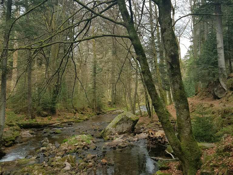 Eyach Wasserwegle: Wanderungen und Rundwege | komoot