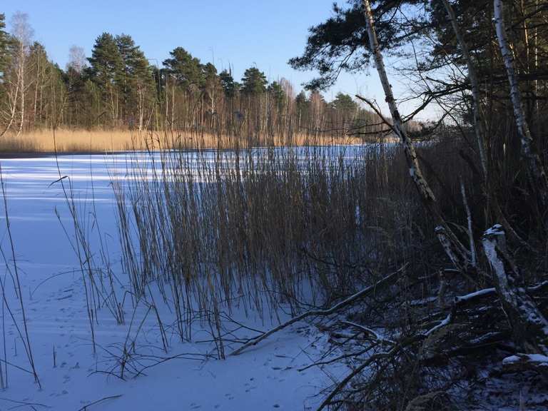 Katjasee - Routes for Walking and Hiking | Komoot