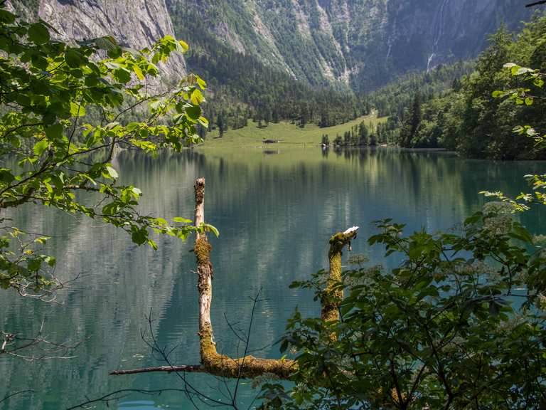 Obersee Routes for Walking and Hiking | Komoot