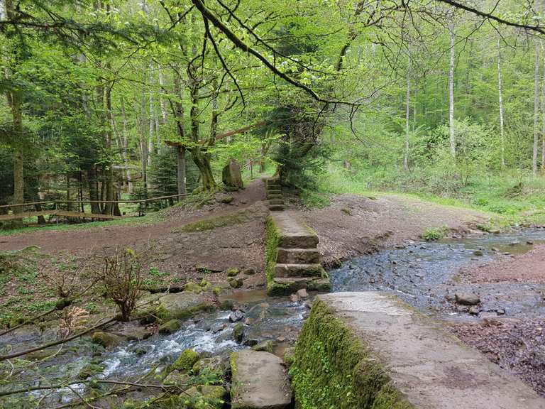 Monbachtal - Itinéraires de rando et marche | Komoot
