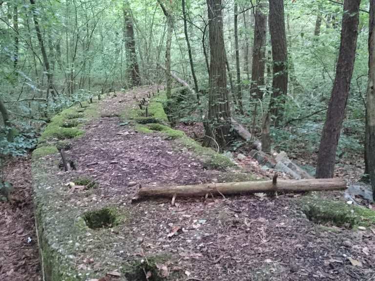 Venusberg Routes for Walking and Hiking | Komoot