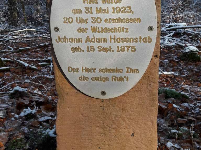 Gedenkstein für den Wilderer Johann Adam Hasenstab: Wanderungen und ...