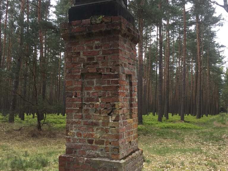 Bad Wilsnack zur Plattenburg zurück auf dem Jakobsweg | hike | Komoot