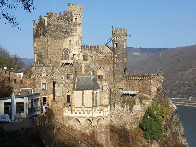 Burg Rheinstein: Wanderungen und Rundwege | komoot