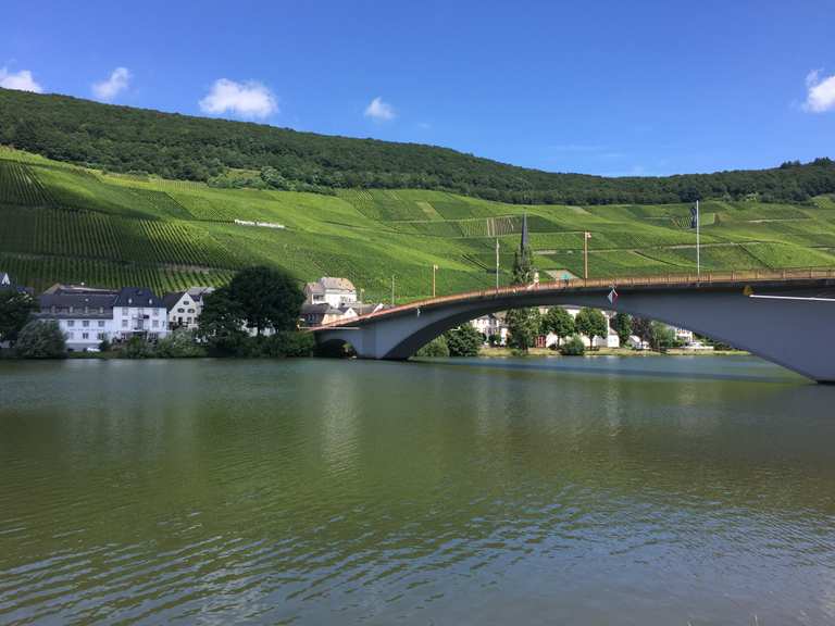 Moselbrücke Piesport - Cycle Routes and Map | Komoot
