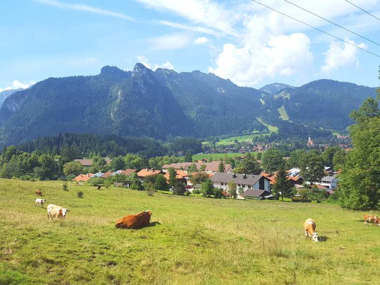 Laber-Bergbahn (Seilbahn) – Wander- & Radrouten | Komoot