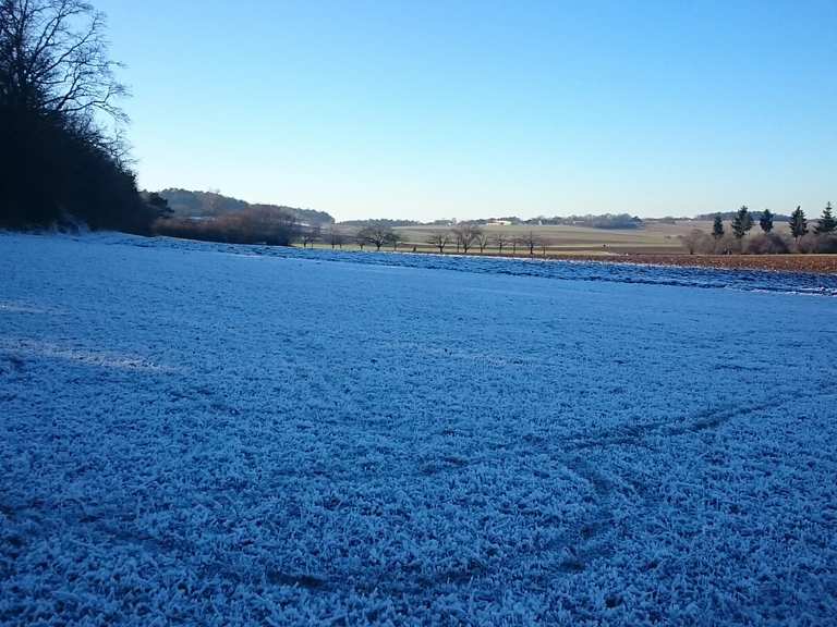 Venusberg wandelroutes en hikes | Komoot