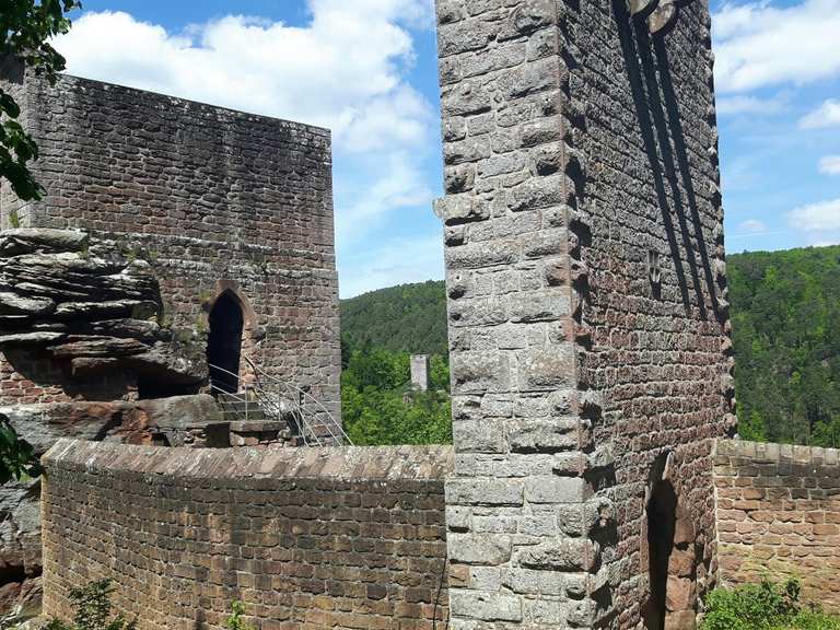 Burg Spangenberg: Wanderungen und Rundwege | komoot