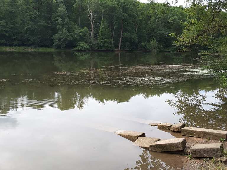 Katzenbachsee: Wanderungen und Rundwege | komoot