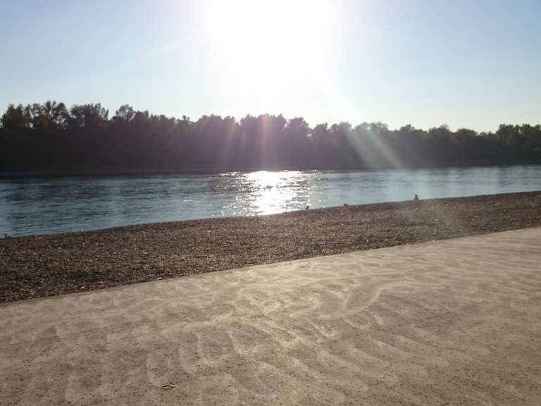 Strandbad Mannheim-Neckarau Routes for Walking and Hiking | Komoot